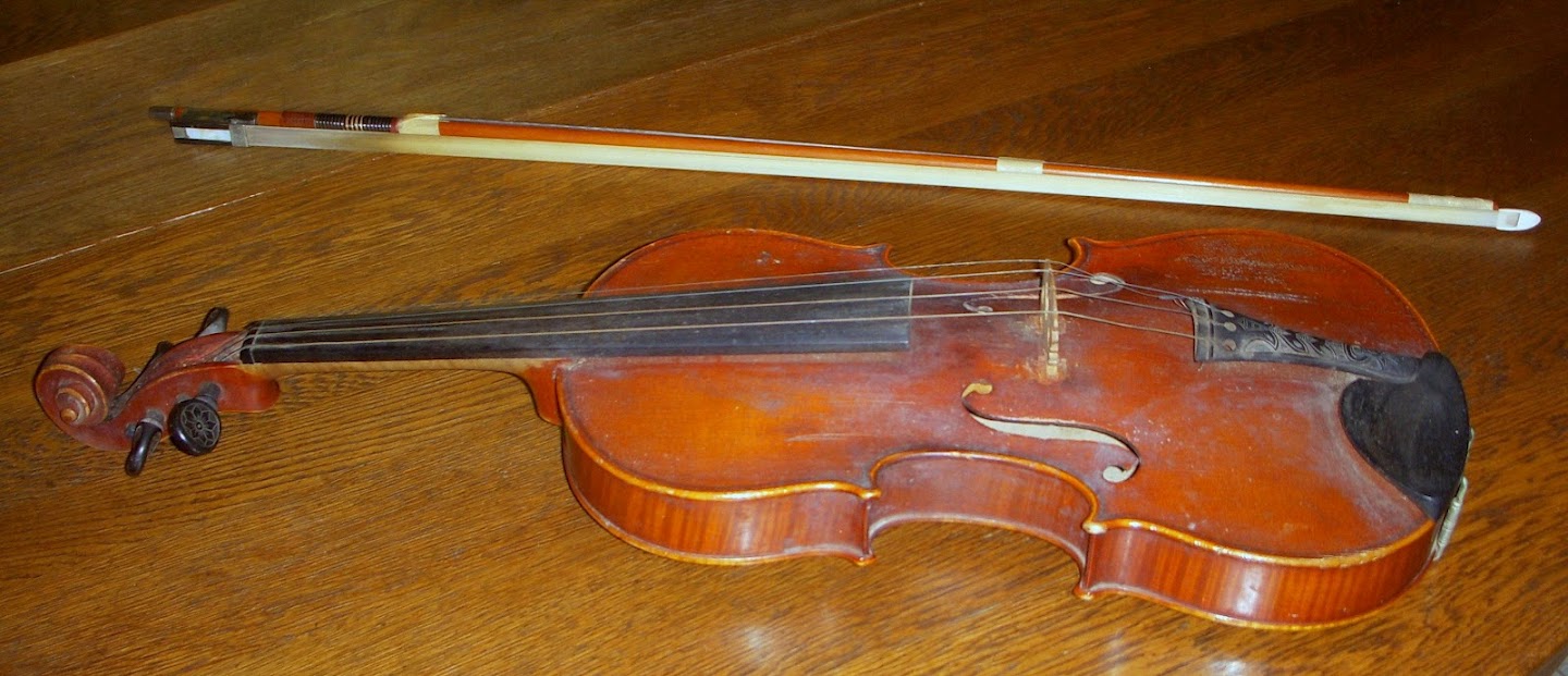 WOUNDED BIRD: Sears Stradivarius